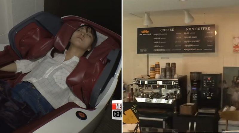 Korea Has Incredible ‘Healing’ Cafés That Need to Come to America ...