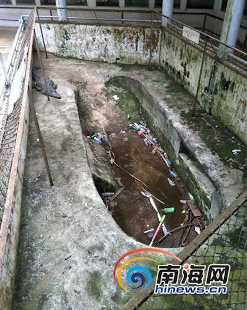 Filthy Zoo in South China is 'The Worst Hell for Animals'
