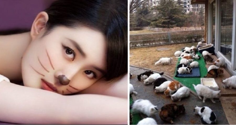 Disney's Pick for 'Mulan' is Also a Full On Cat Lady