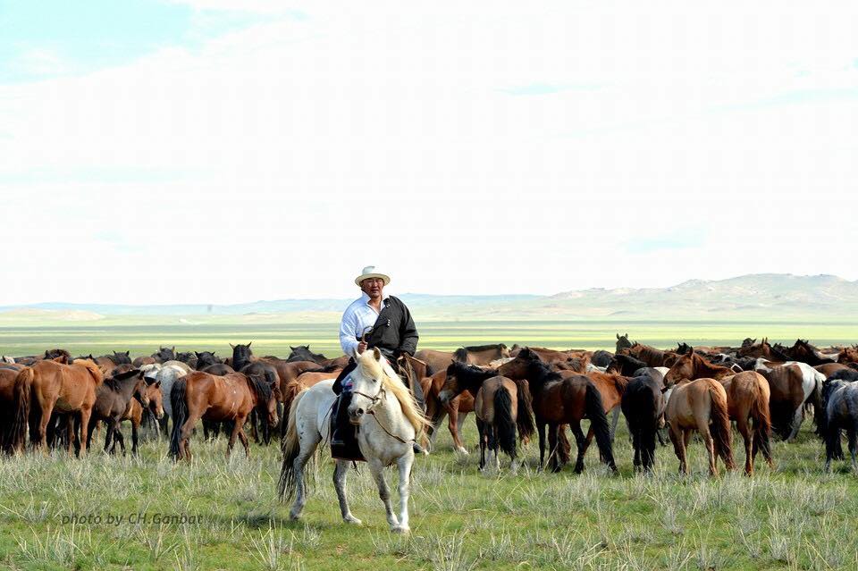 Mongolia’s New President Is a Badass Judo Expert and Olympic Gold ...