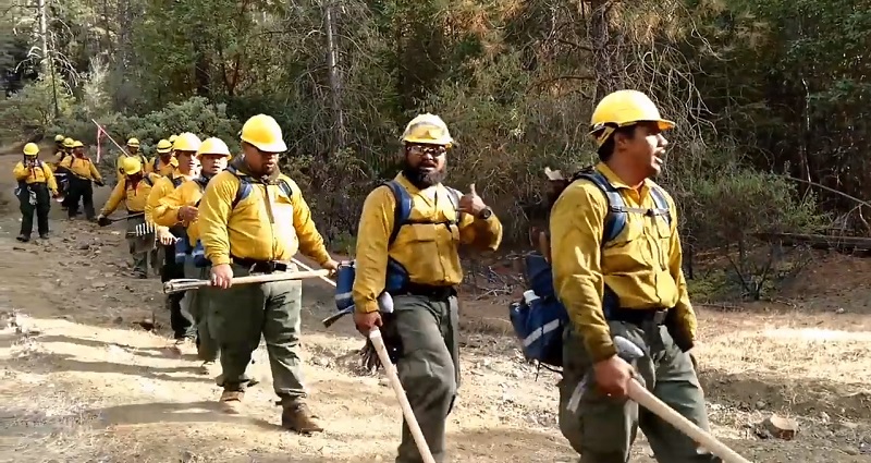 Samoan Firefighters Sing in the Forest to Recover After Battling ...