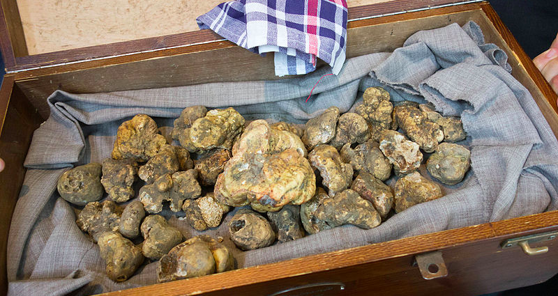 Hong Kong Man Pays $96,000 for White Truffle at Auction in Italy
