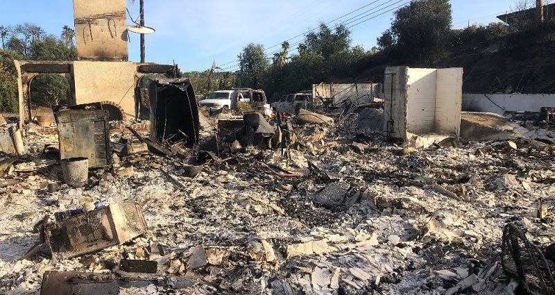 10,000 Exotic Birds Die After San Diego Fire Burns Taiwanese-American ...