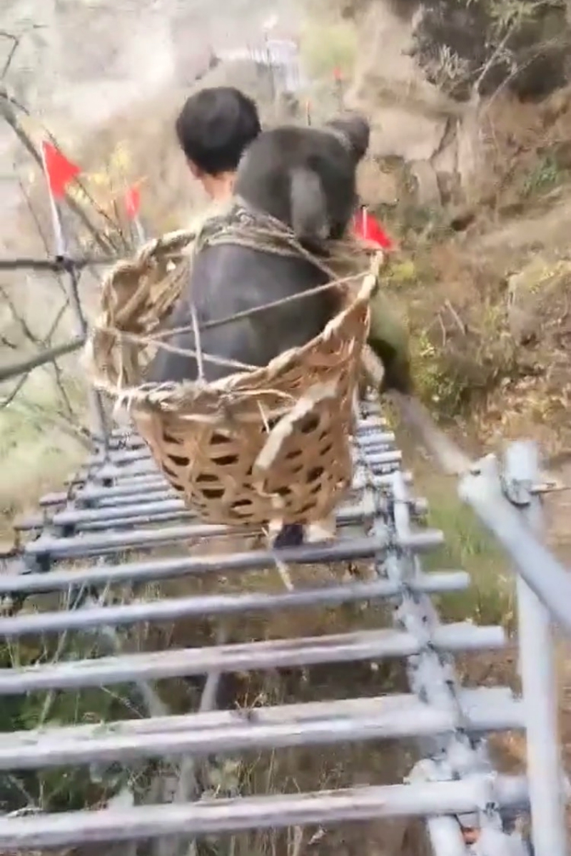Man Livestreams His Life in a ‘Cliff Village’, Becomes Instant Internet ...