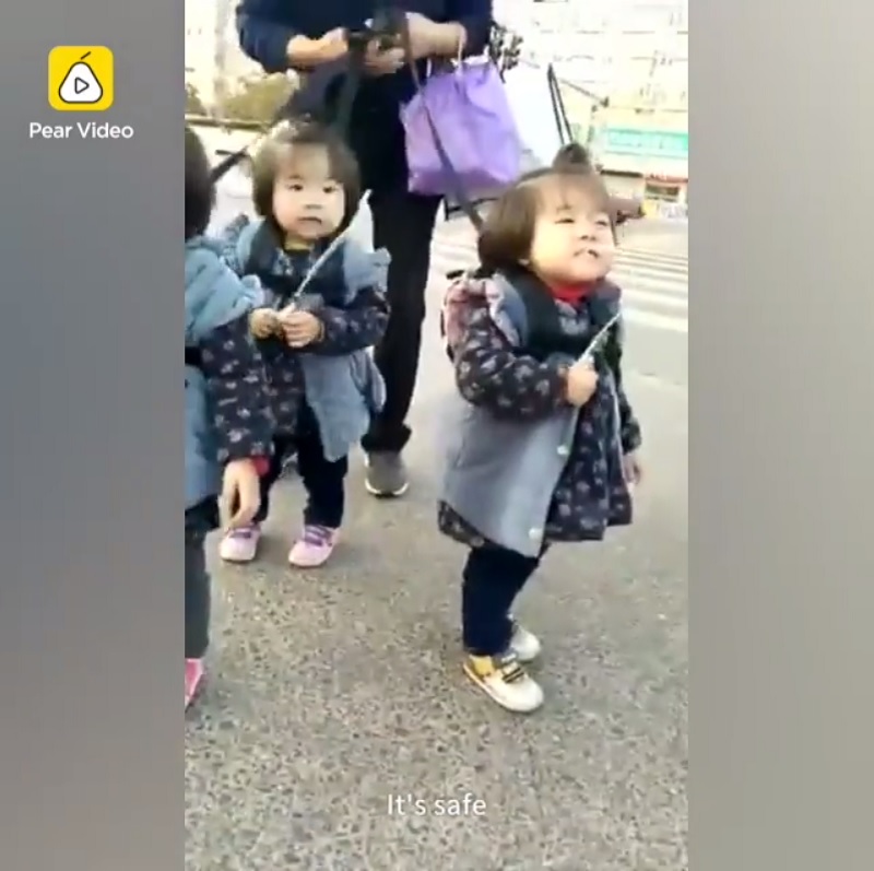 Chinese Grandpa Walks Adorable Triplets on Leashes | NextShark.com