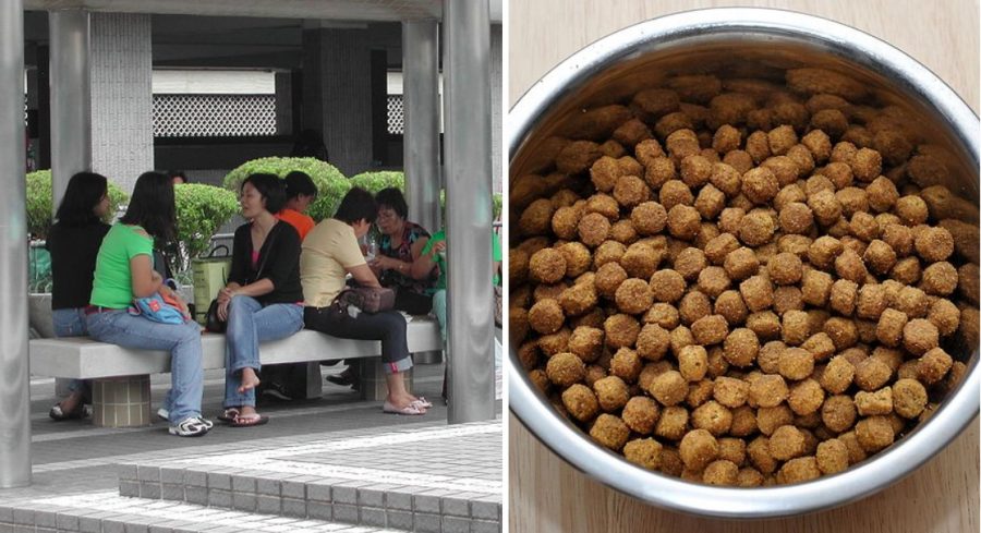 Enslaved Filipino Helper Forced to Eat Dog Food to Survive Working in ...