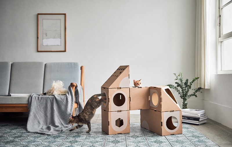 Taiwanese Couple Creates Awesome Cardboard Cat Forts That Cats Go Crazy ...