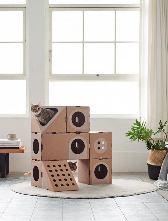 Taiwanese Couple Creates Awesome Cardboard Cat Forts That Cats Go Crazy ...