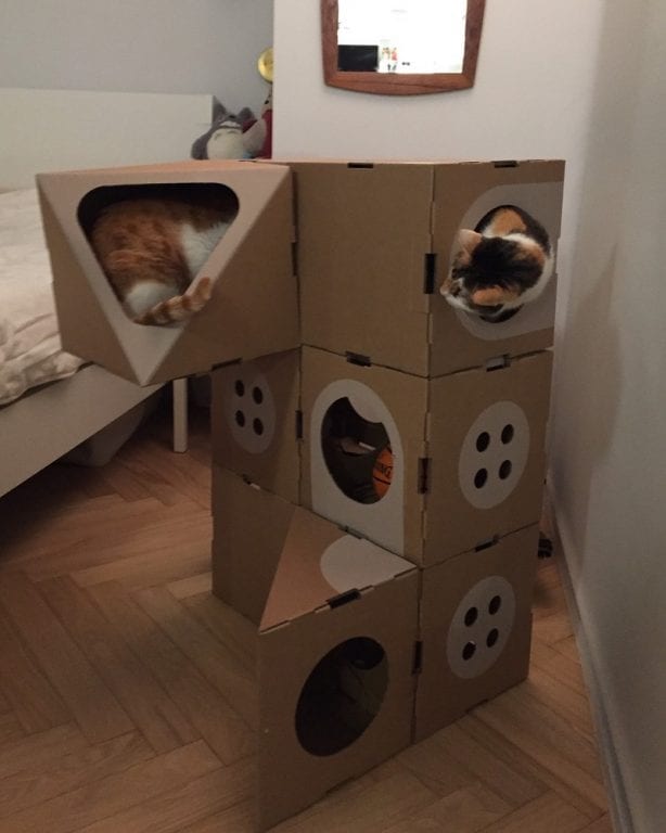 Taiwanese Couple Creates Awesome Cardboard Cat Forts That Cats Go Crazy ...