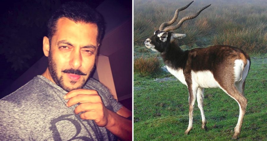 Bollywood Star Gets 5 Years in Jail for Shooting Endangered Antelope in ...