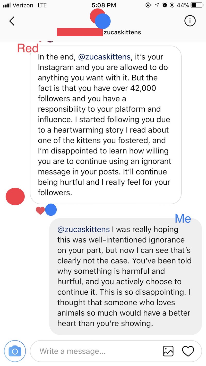 People Are Offended After Instagrammer Names Kitten ‘Annyong’ from ...