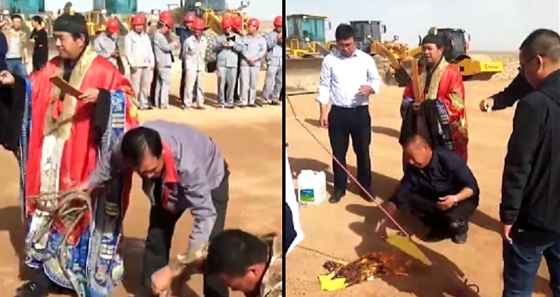 China's Top Science Institution Apologizes for Sacrificing Goat at ...