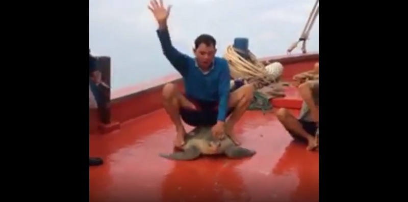Fisherman Sparks Massive Outrage Online for Posting Video Abusing ...