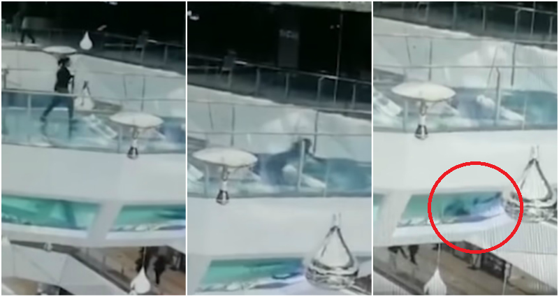Woman Accidentally Falls Into a Shark Tank After Tripping at Chinese ...