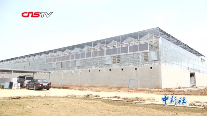 Chinese Factory Uses 1 Billion Cockroaches to Eat 55 Tons of Food Waste ...