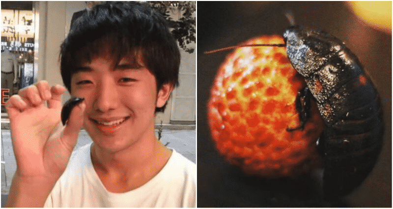 Japanese Man Dated a Cockroach For a Year and Ate Her When She D‌i‌e‌‌d