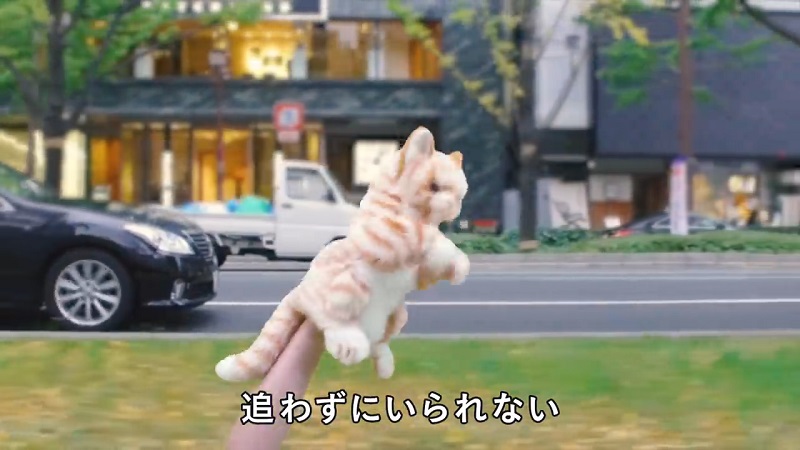 Animal Psychologists in Japan Create Traffic Safety Video… for Cats ...