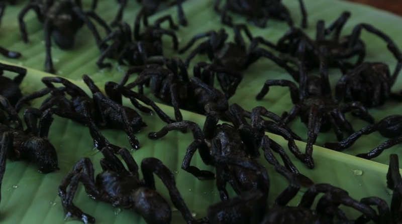 Cambodian YouTubers Casually Prepare Huge Spiders to Eat with Beer ...