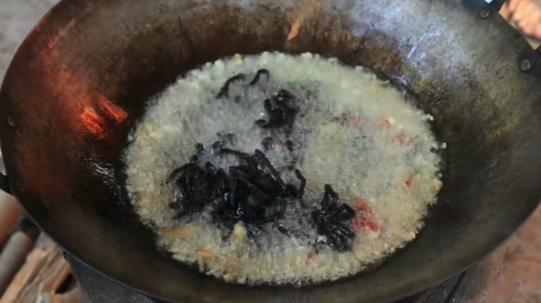 Cambodian YouTubers Casually Prepare Huge Spiders to Eat with Beer ...