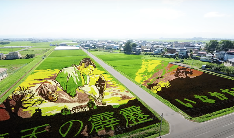 This Japanese Village Grows Beautiful Murals Made of Different Colored ...