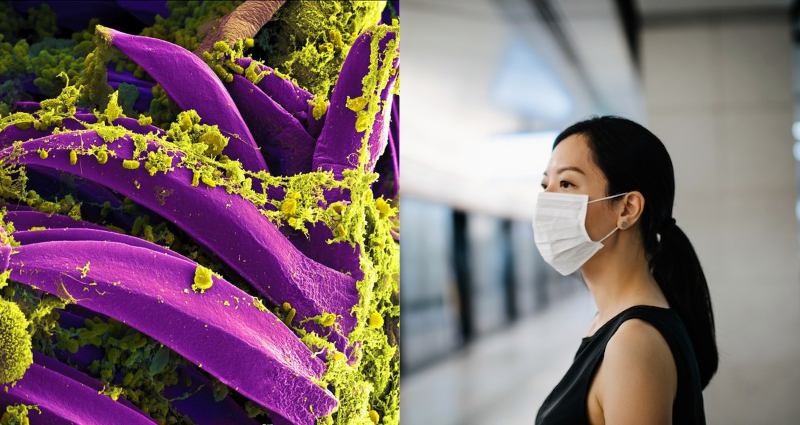 Two People Just Got the PLAGUE in China | NextShark.com