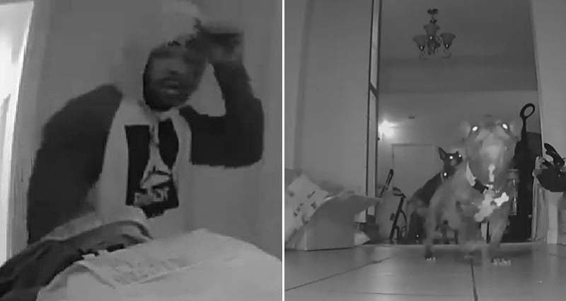 Burglars Ransack Asian Family’s Home in Norwalk Just Before Their Wedding