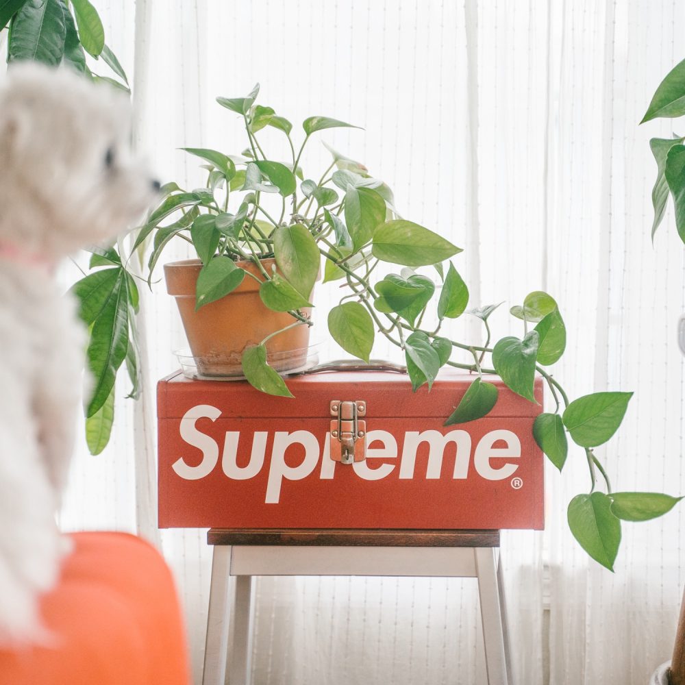 Designer Transforms Old Steel Toolbox into Supreme Toolbox During ...