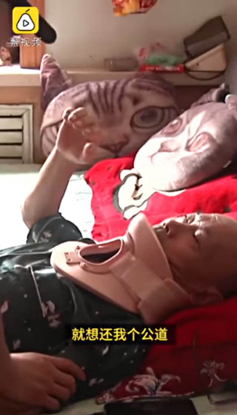 Cat Knocks Out Elderly Chinese Man After Falling From the Sky ...