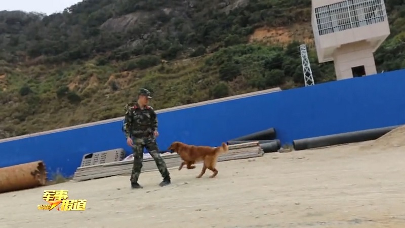 Chinese Army Dog Begs Retiring Handler Not to Go After 2 Years Together ...