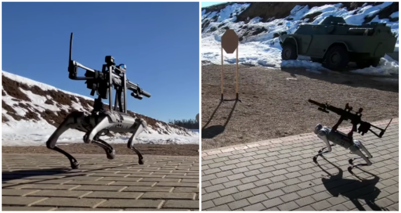 Robot dog outfitted with machine gun in Russia brings us closer to real ...