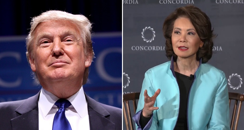 Trump calls Elaine Chao ‘Coco Chow’ in latest attack on Mitch McConnell ...