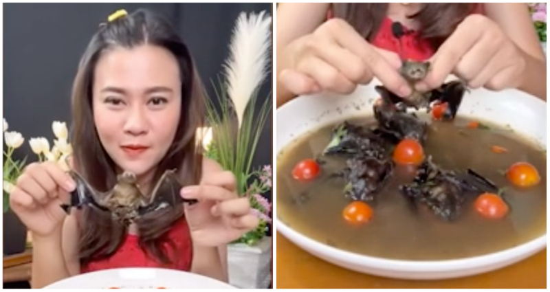 Thai woman faces up to 5 years in prison for eating bat soup in viral video