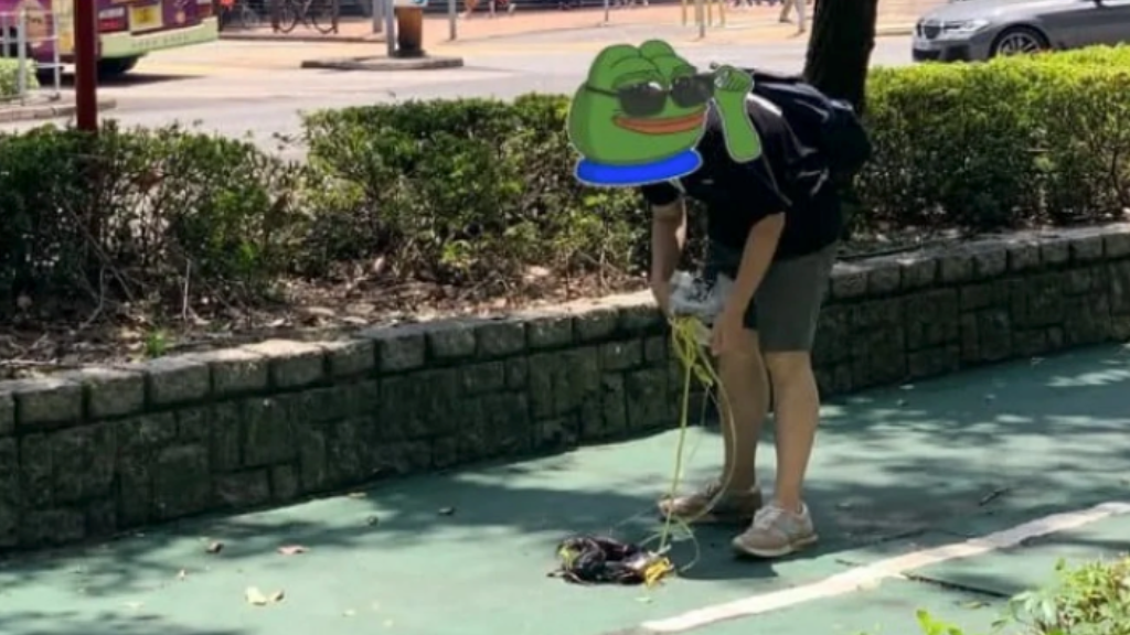 Hong Kong man is photographed ‘walking’ his 'pet' crabs Hong Kong man is photographed ‘walking’ his 'pet' crabs