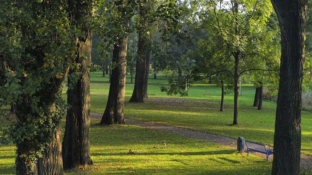 People living near green spaces are 2.5 years biologically younger ...