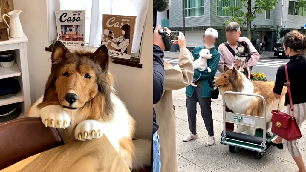 Japanese man who spent $16K to become a ‘dog’ shares how his family ...