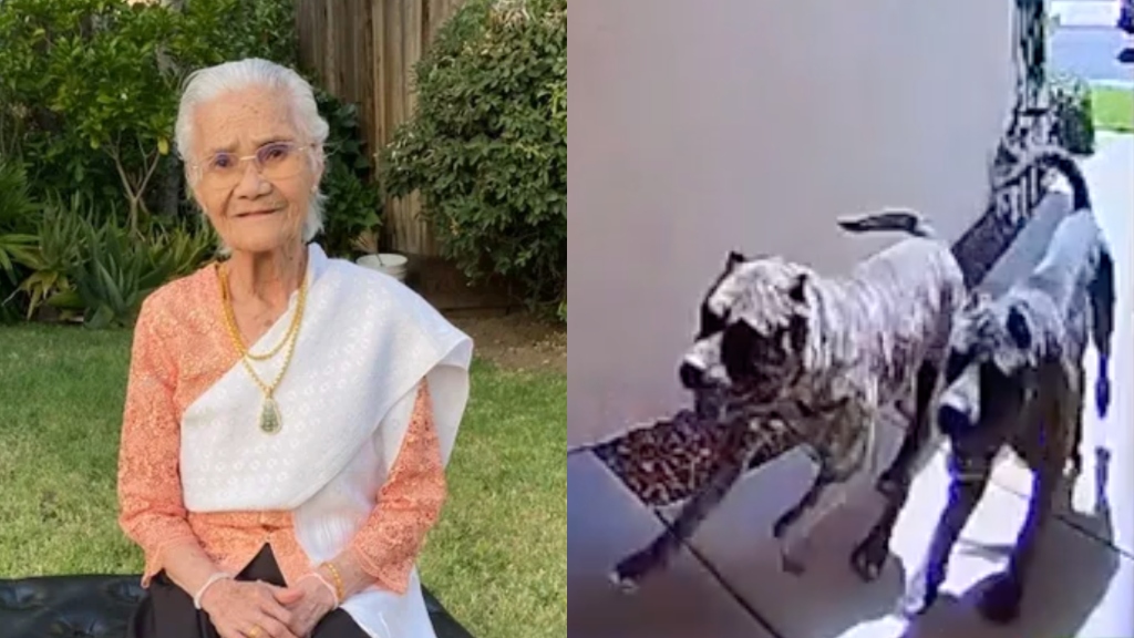 93-year-old great-grandmother mauled to death by neighbor’s dogs in ...