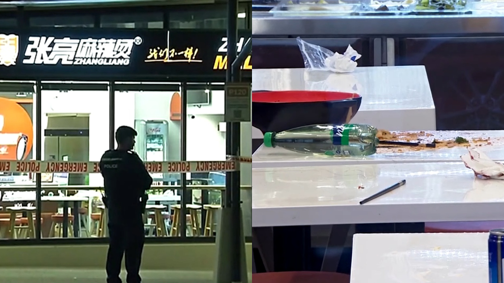 Man who attacked Chinese restaurants with axe in New Zealand acquitted ...