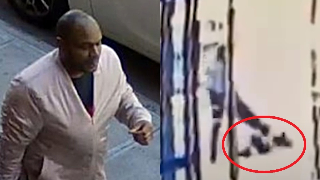 Man Pleads Guilty To Hate Crime Attack On Senior Asian Woman In Nyc
