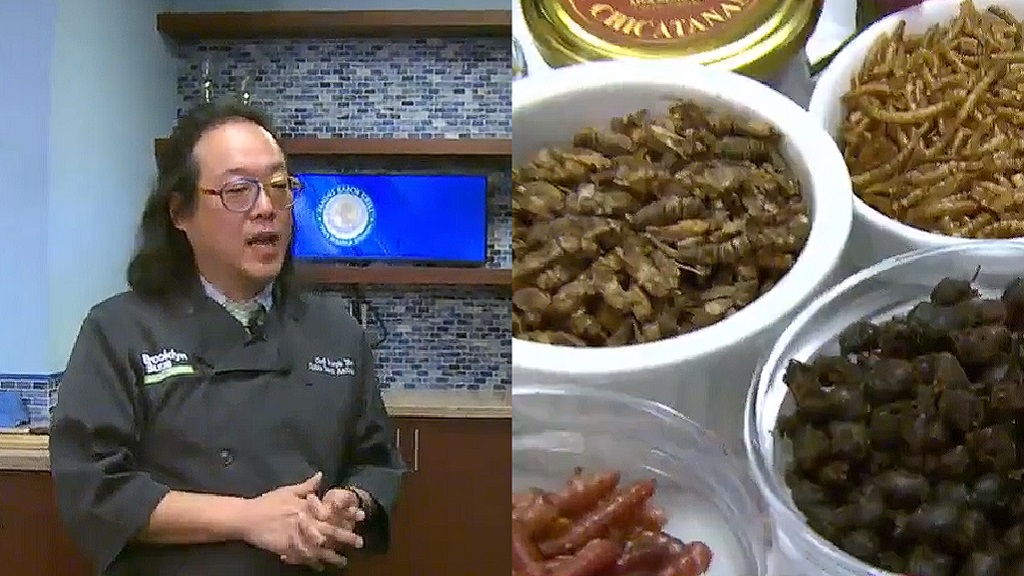 Chef serves up cricket tteokbokki, other bug dishes to San Diego State ...