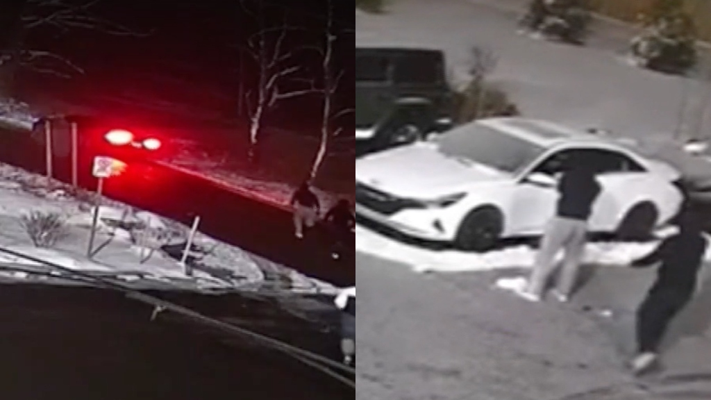 Extortion schemes targeting South Asian businesses in Canada linked to ...