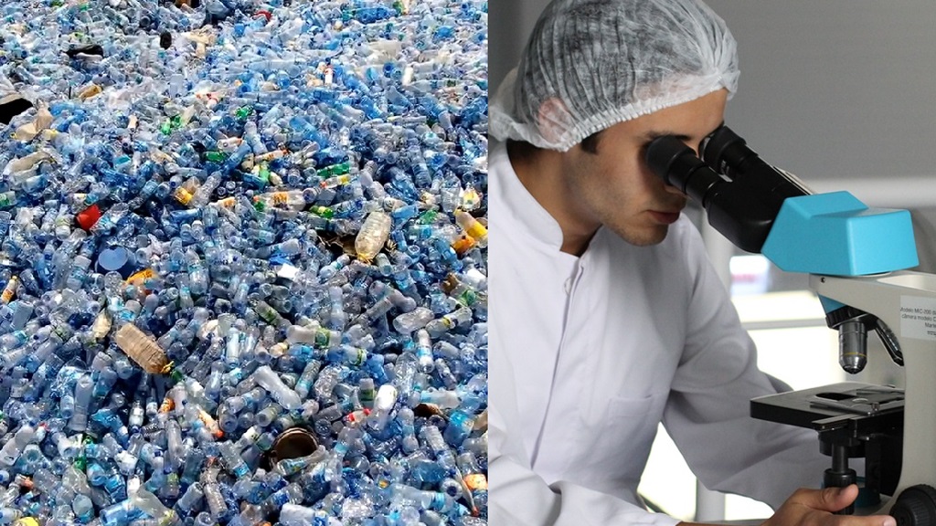 Researchers find microplastics in all human testicles studied