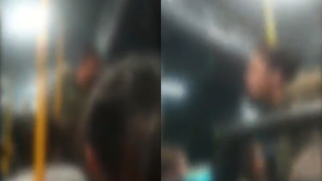 Woman filmed racially attacking Asian Kiwi passengers on Auckland bus ...
