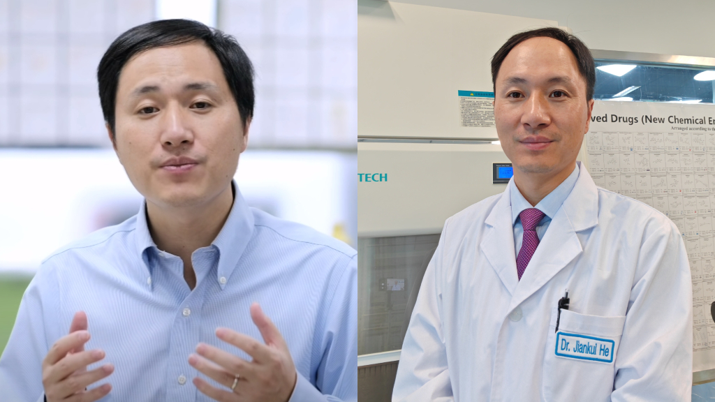 Chinese scientist jailed for gene-edited babies is now looking for interns