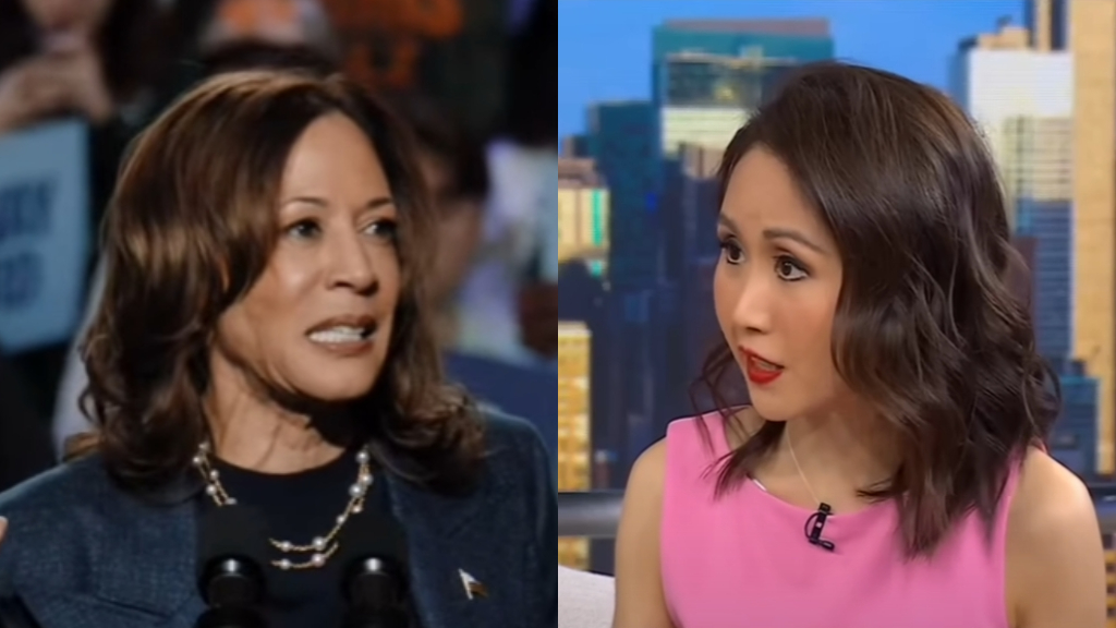 DNC official goes on Fox to slam Harris’ loss as '$1 billion disaster'