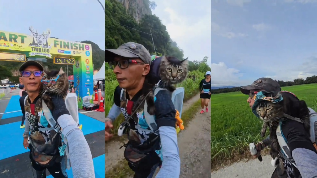 Watch: Malaysian man runs 10-kilometer marathon with 16-pound cat on ...