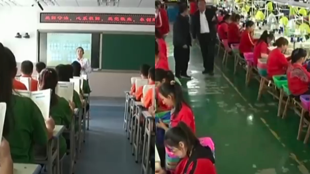 Bipartisan senators call for action against China’s forced labor ...